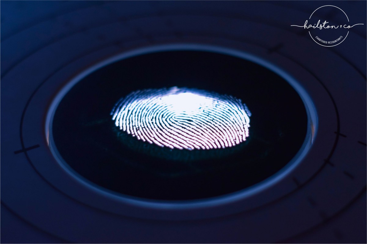 Time Is Running Out To Apply For A Director Identification Number director ID Hailston Co 